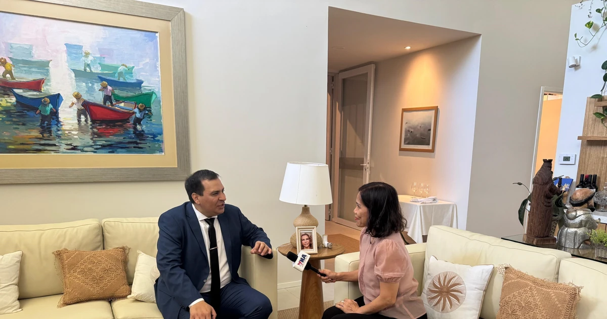 Vietnam y Paraguay fortalecen cooperación comercial y cultural | Vietnam+ (VietnamPlus)