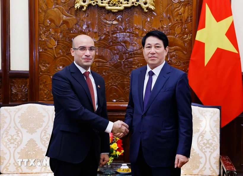 Presidente vietnamita recibe al saliente embajador argelio | Vietnam+ (VietnamPlus)