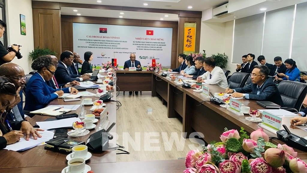 Vietnam y Angola fortalecen cooperación agrícola para impulsar la ...