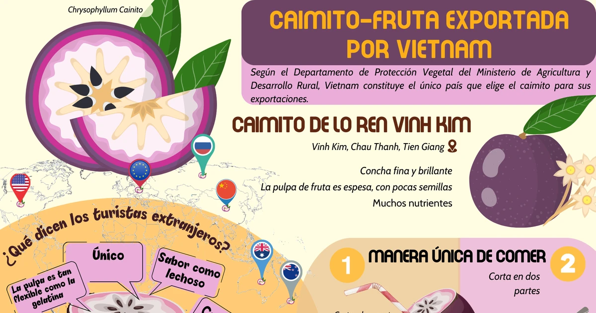 Camito, fruta exportada por Vietnam | Vietnam+ (VietnamPlus)